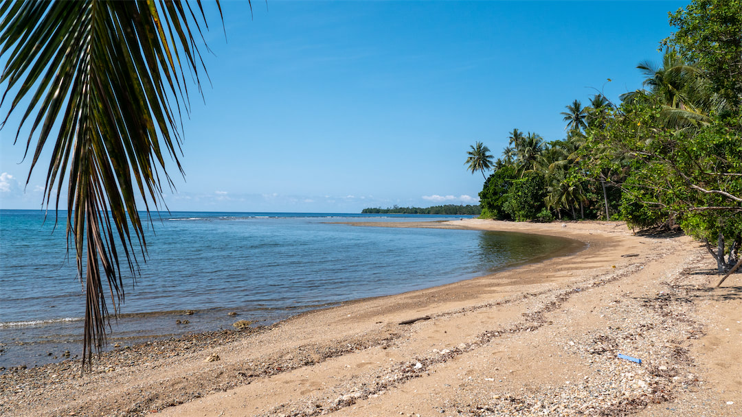 Diving in Gorontalo and Bolsel | Bodeweb